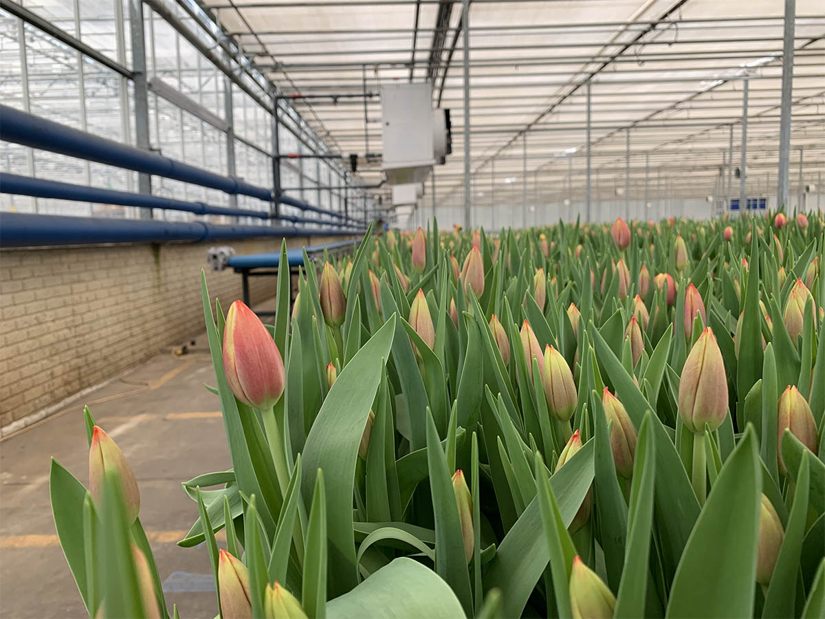 King George County EDA | Department of Economic Development